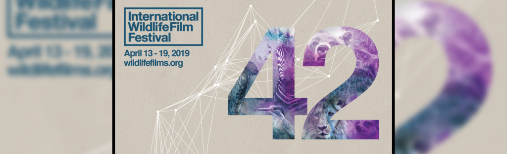 2019 IWFF Awards Ceremony & Film Screening - Logjam Presents