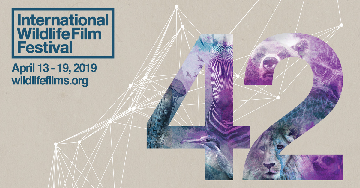 2019 IWFF Awards Ceremony & Film Screening - Logjam Presents