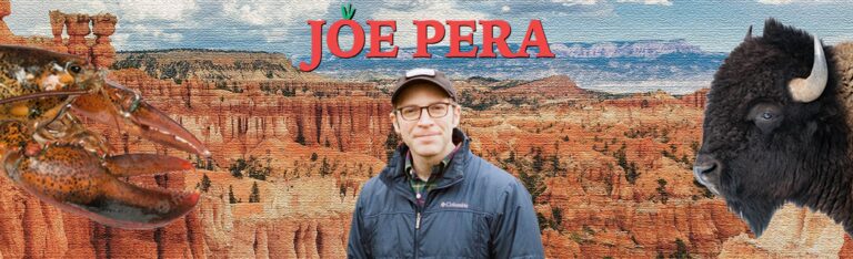 Joe Pera - Logjam Presents