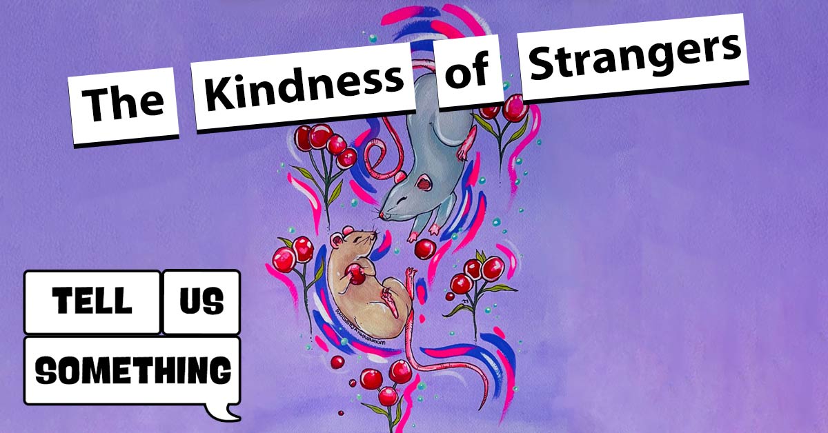 Tell Us Something - Logjam Presents