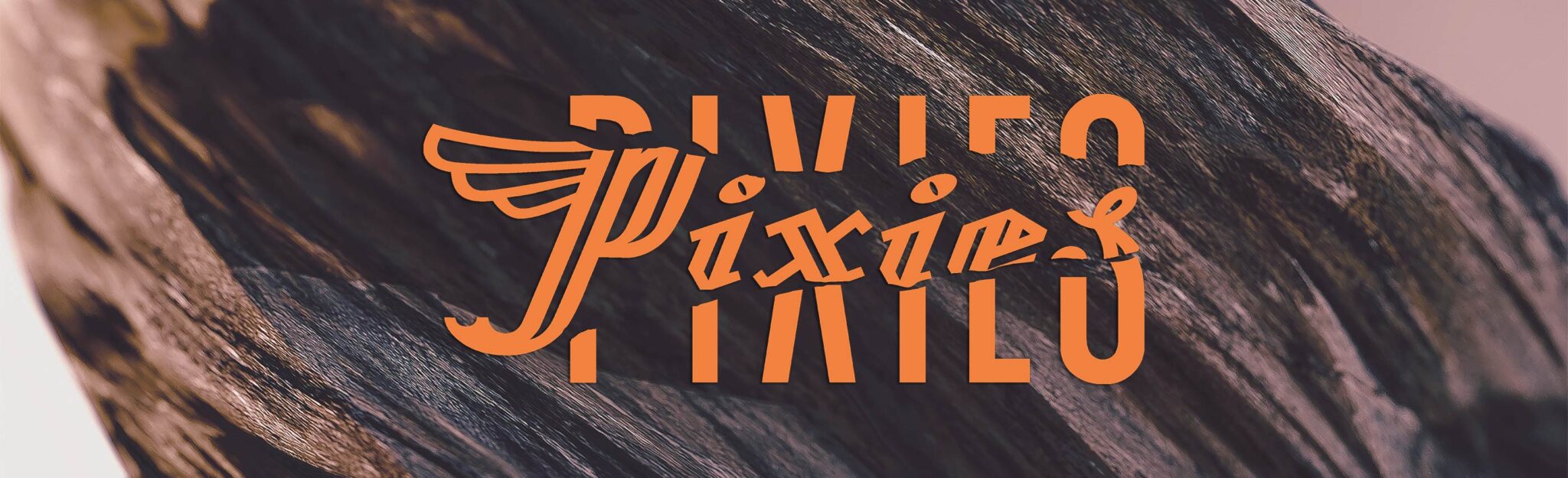 Pixies - Logjam Presents